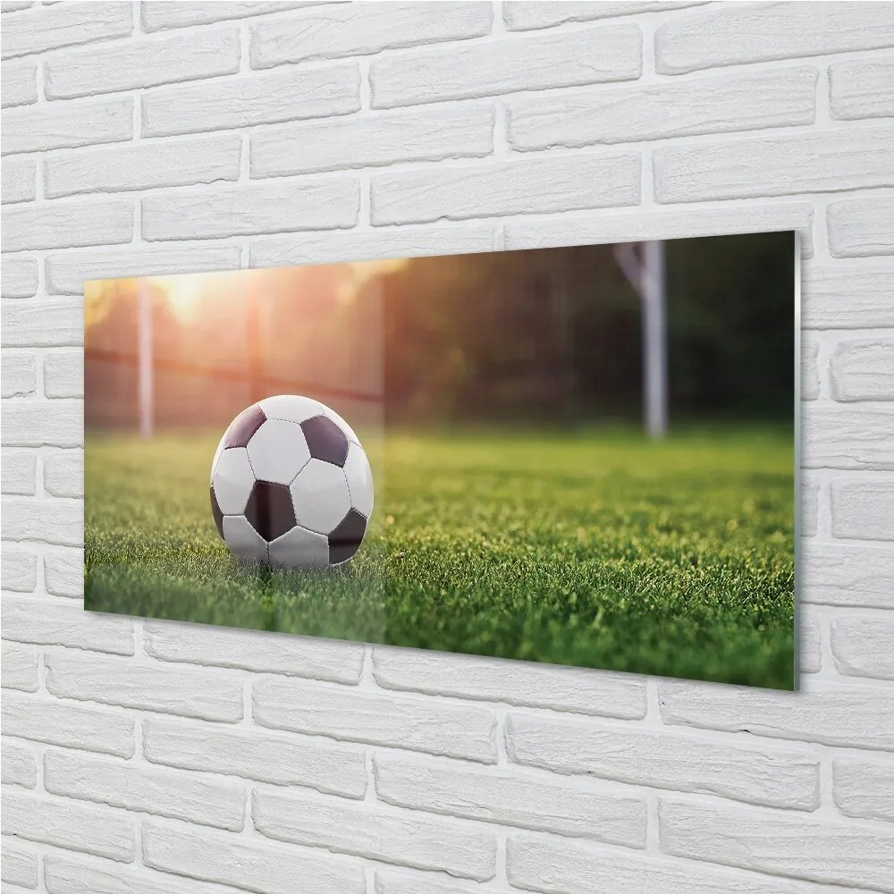 Obraz na skle Fotbal tráva gateway 120x60 cm