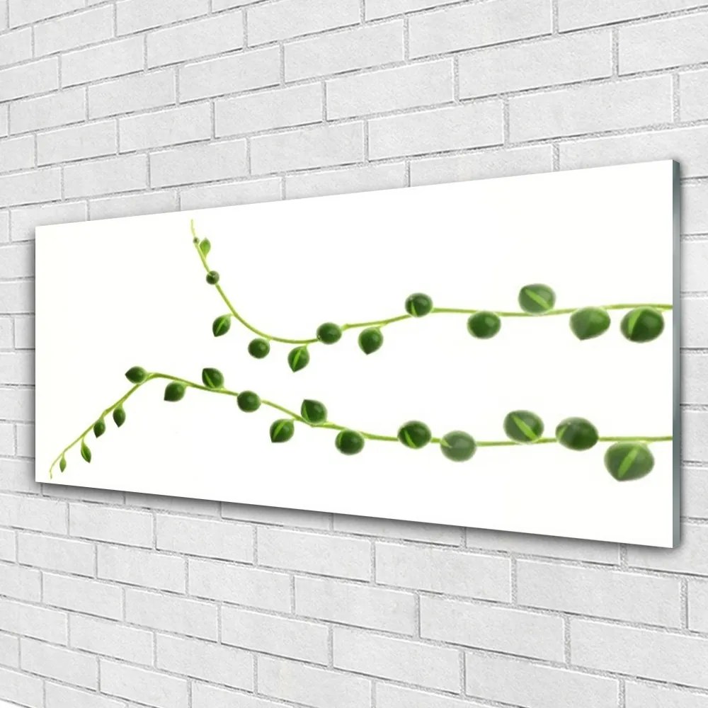 akrylový obraz Dekorativní Rostlina 125x50 cm