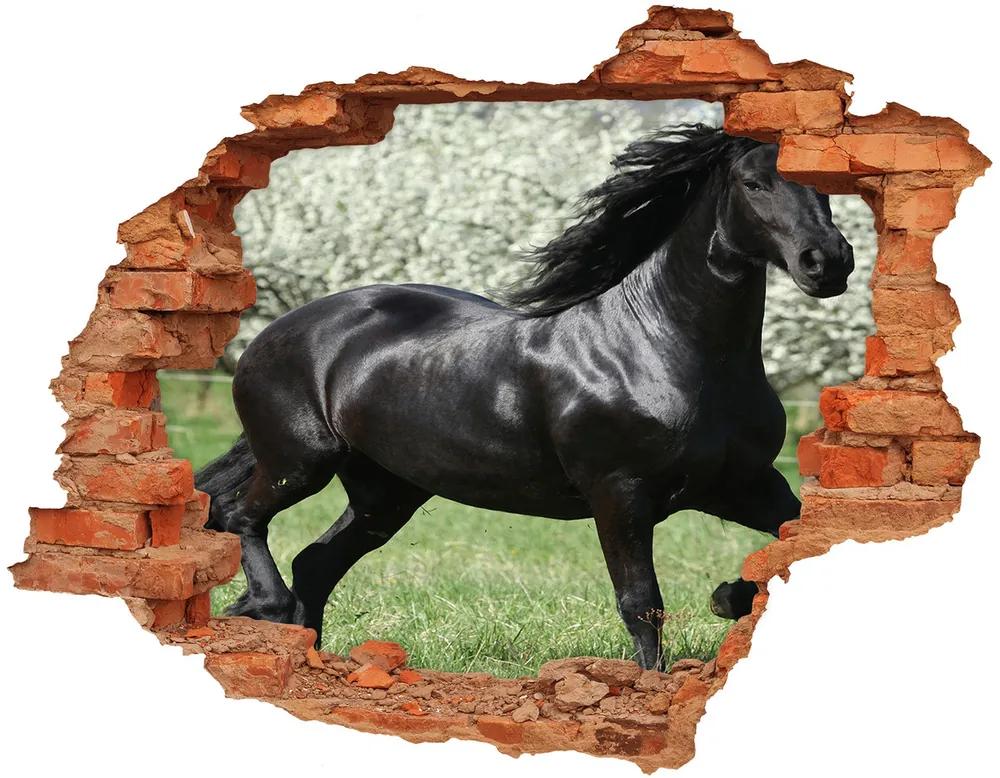 Wallmuralia Díra 3D fototapeta na stěnu Černý kůň květiny 90x70 cm