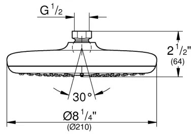 GROHE 26410000 - Hlavová sprcha TEMPESTA 210 mm lesklý chrom