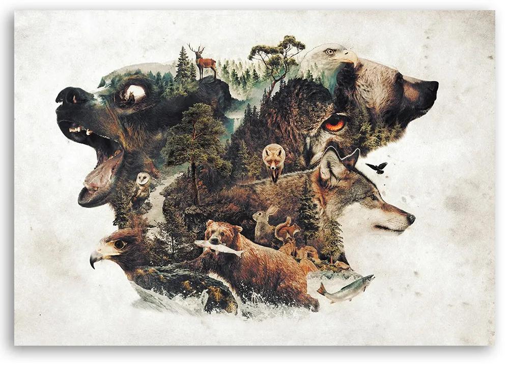 Gario Obraz na plátně Lesní zvěř - Barrett Biggers Rozměry: 60 x 40 cm