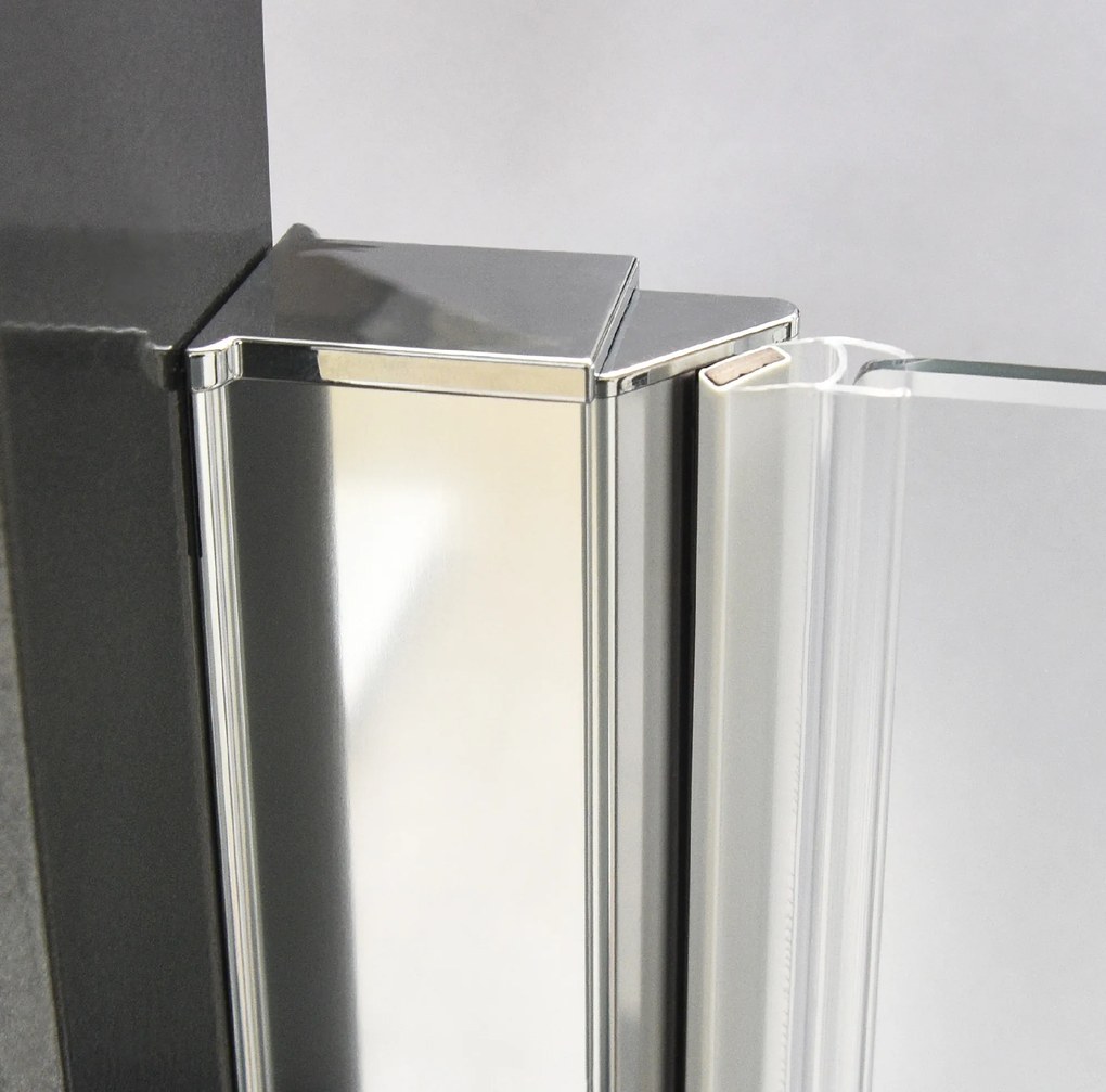 Roth Elegant Neo sprchové dveře 100 cm jednokřídlé brillant transparent GDO1N/1000_GZN Koupelny Bernold