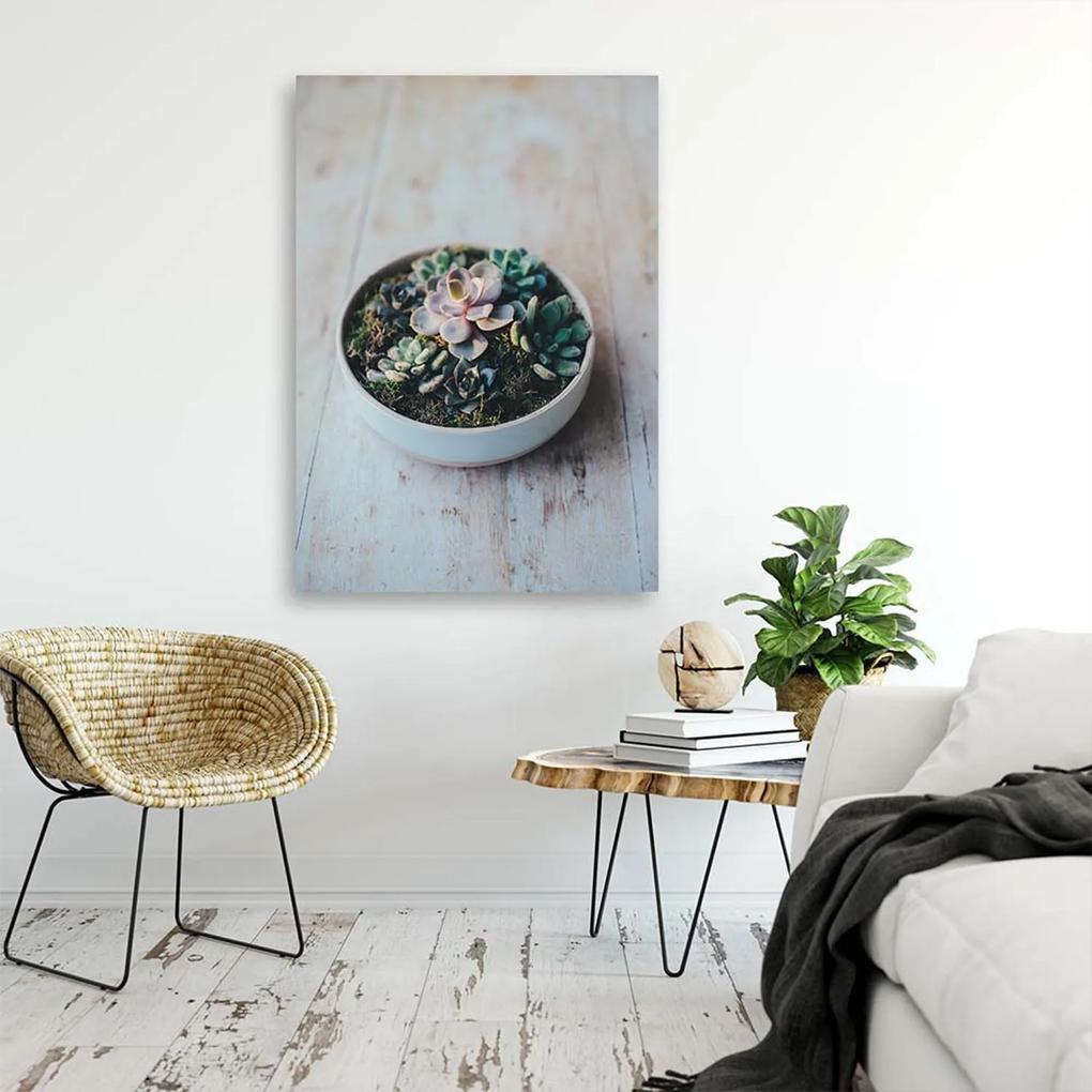 Gario Obraz na plátně Rostliny v květináči Rozměry: 40 x 60 cm