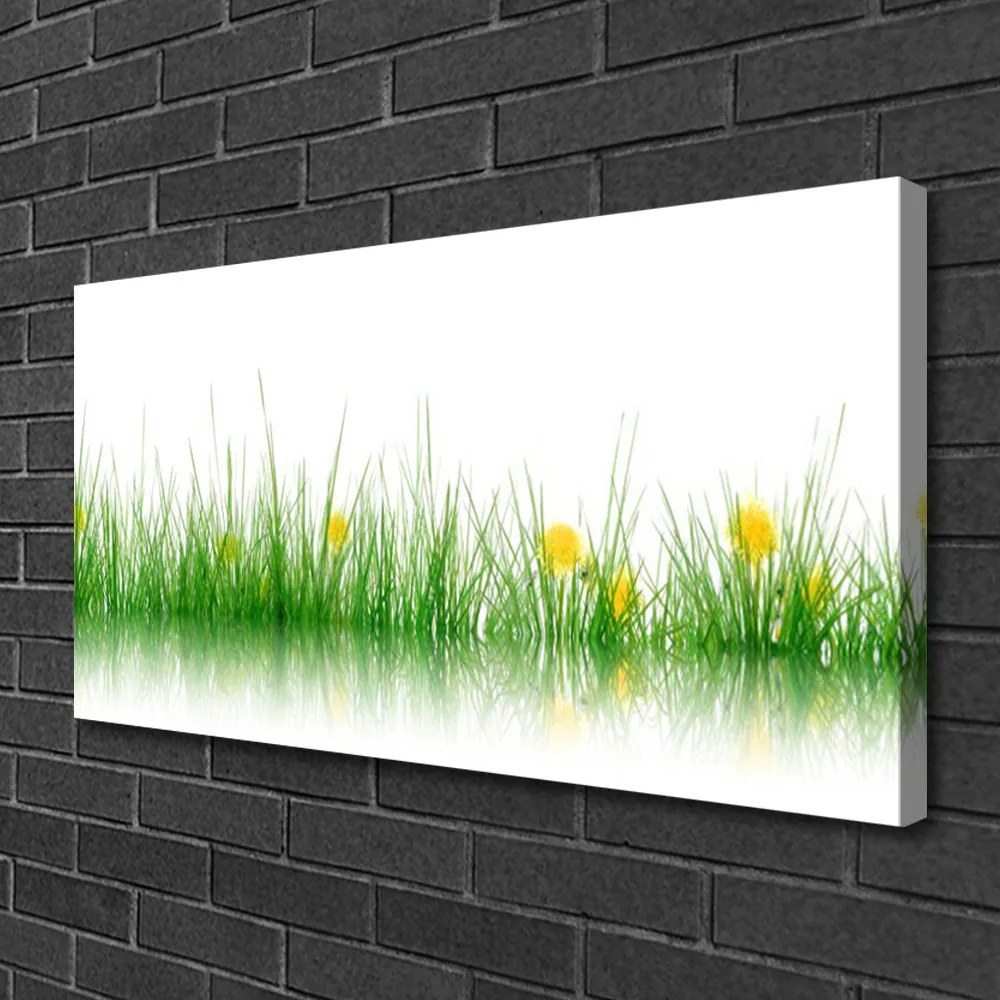 Obraz na plátně Příroda Tráva Květiny 100x50 cm