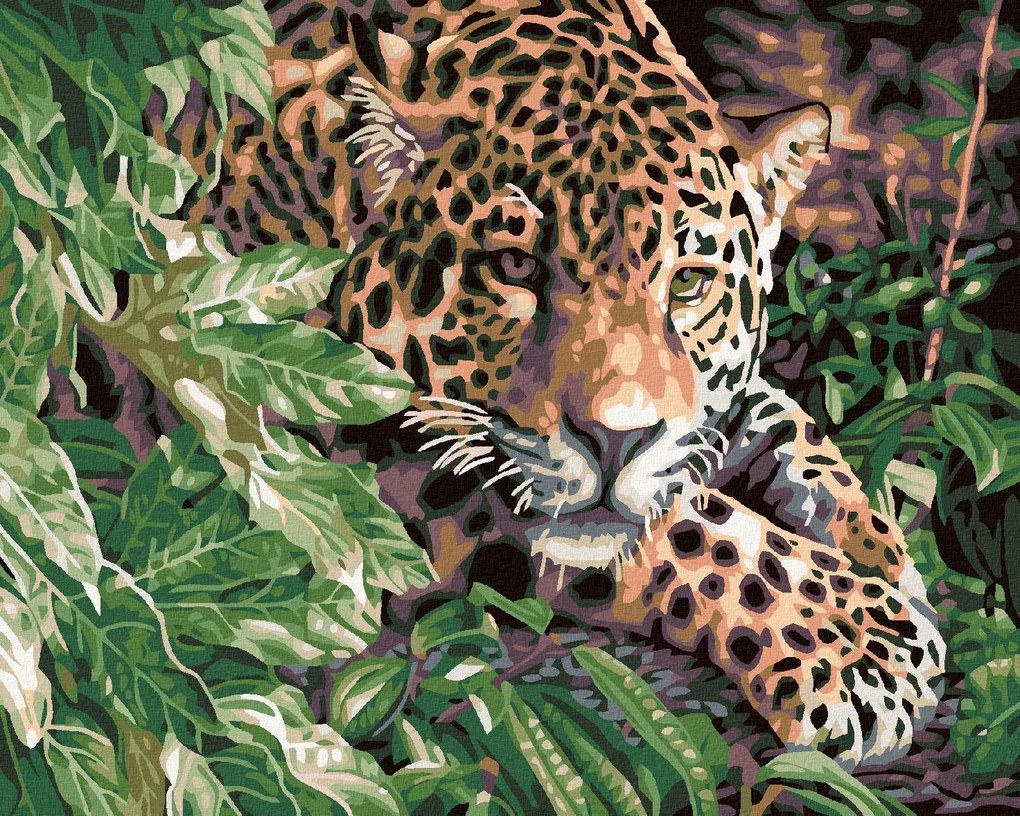 zuty malování podle čísel - gepard, 100x80 cm, vypnuté plátno na rám