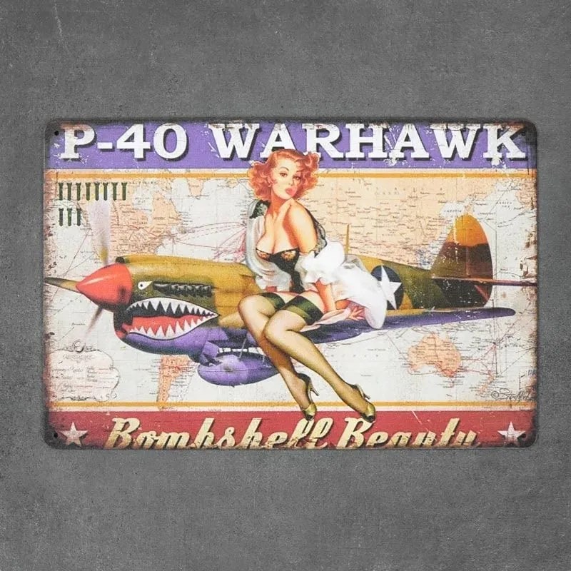 Kovová cedule P-40 Warhawk