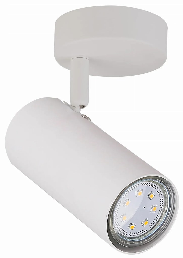 Bílé stropnínástěnné svítidlo Colly pro žárovku 1x GU10 - Candellux