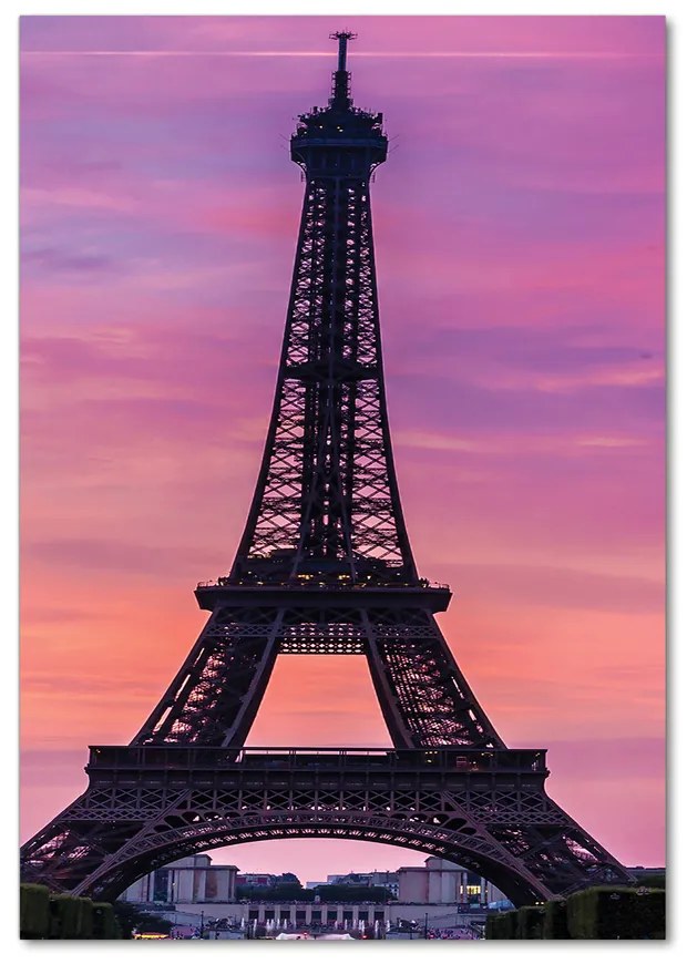 Wallmuralia Foto obraz akrylový Eiffelová věž Paříž 70x100 cm