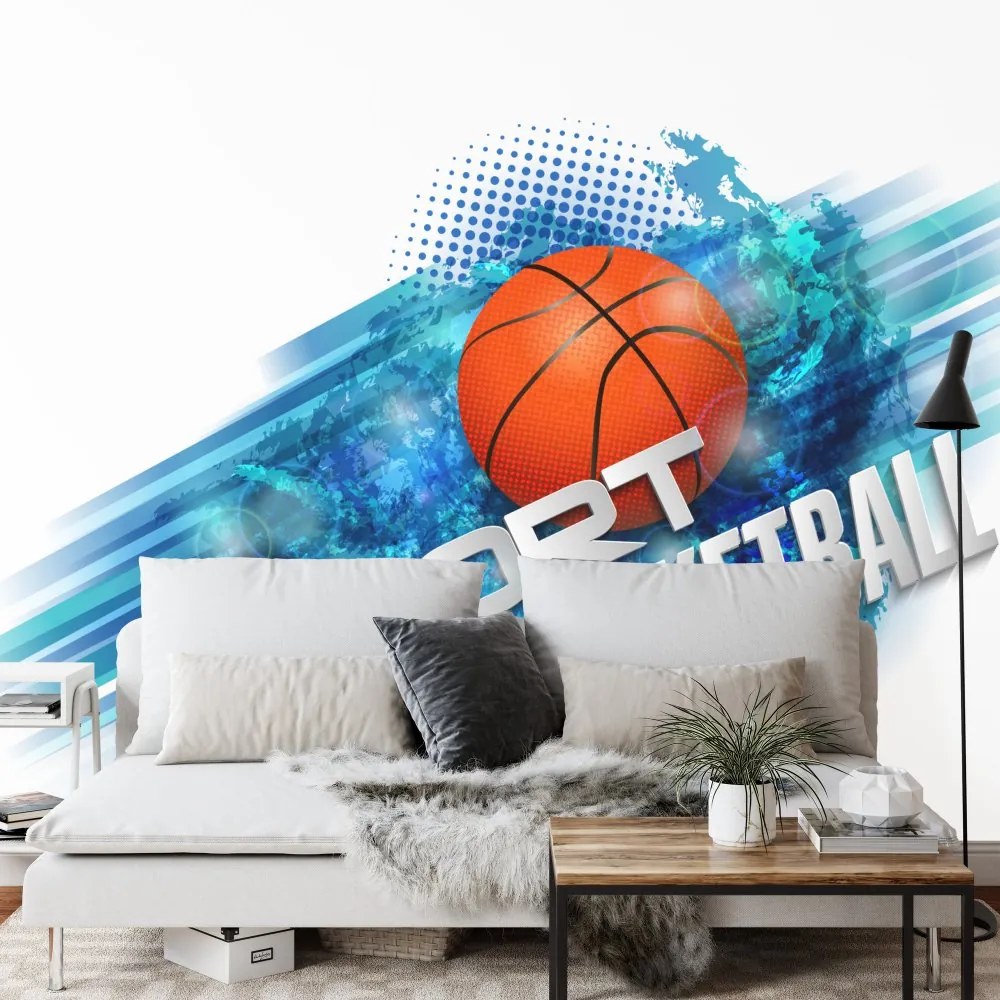 Fototapeta Basketbal V Moderním Stylu Hladký vinyl 312x219