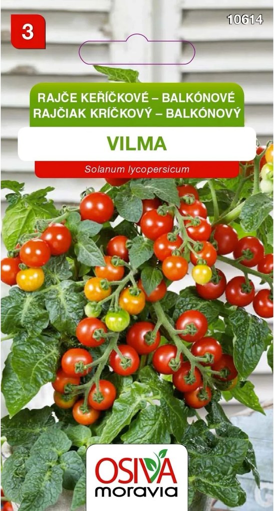 Rajče Keříčkové balkónové - Vilma (Solanum lycopersicum)