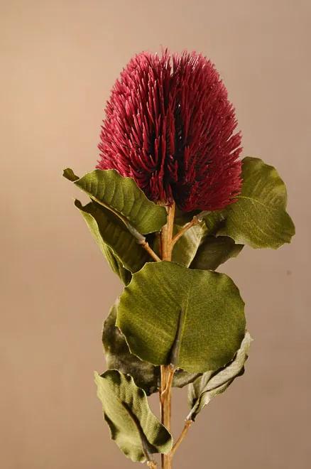 Paramit DRY SMALL BANKSIA Aranžovací květina červená 59 cm