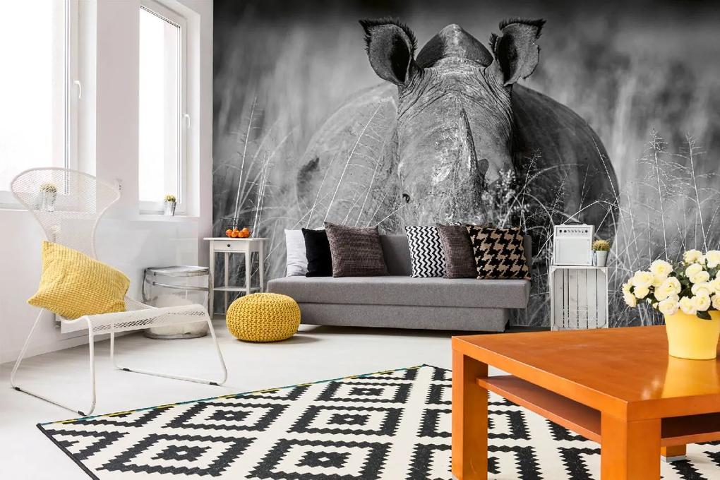 DIMEX | Samolepicí vliesová fototapeta na zeď Nosorožec v trávě MA-5-0454 | 375 x 250 cm | bílá, černá