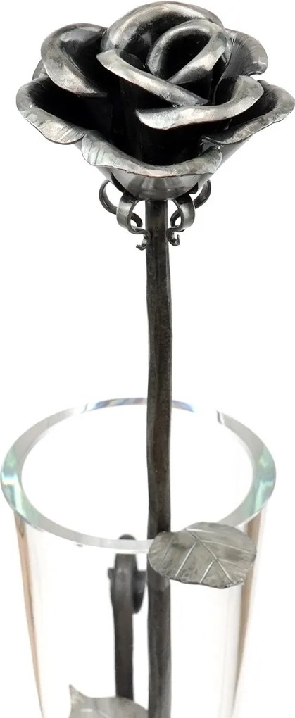 Radotínská Růže kovářská - L (délka 50 - 60 cm)