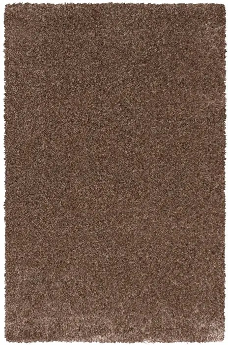 Vopi | Kusový koberec Pleasure 01BAB - 200 x 290 cm, hnědý