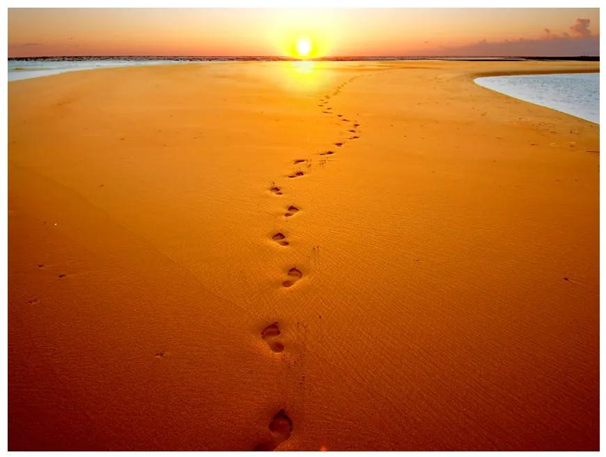 Fototapeta - Footprints in the sand