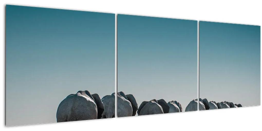 Obraz - Odchod slonů (150x50 cm), 40 dalších rozměrů
