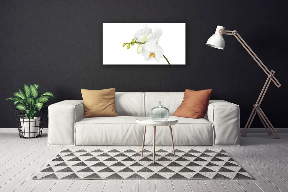 Obraz na plátně Orchidej Květiny Příroda 100x50 cm