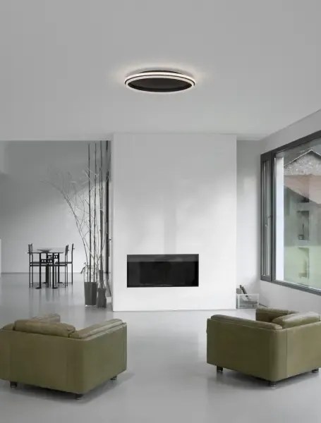 LED stropní svítidlo Willow R 60 černé