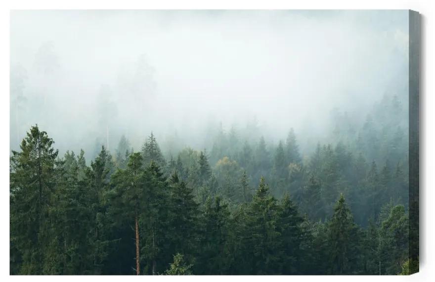 Obraz Amazing Mystical Rising Fog Forest Trees Landscape In Black Forest ( Schwarzwald ) Germany Panorama Banner - Dark Mood Nedostatek Nedostatek Plátno Canvas 30x20