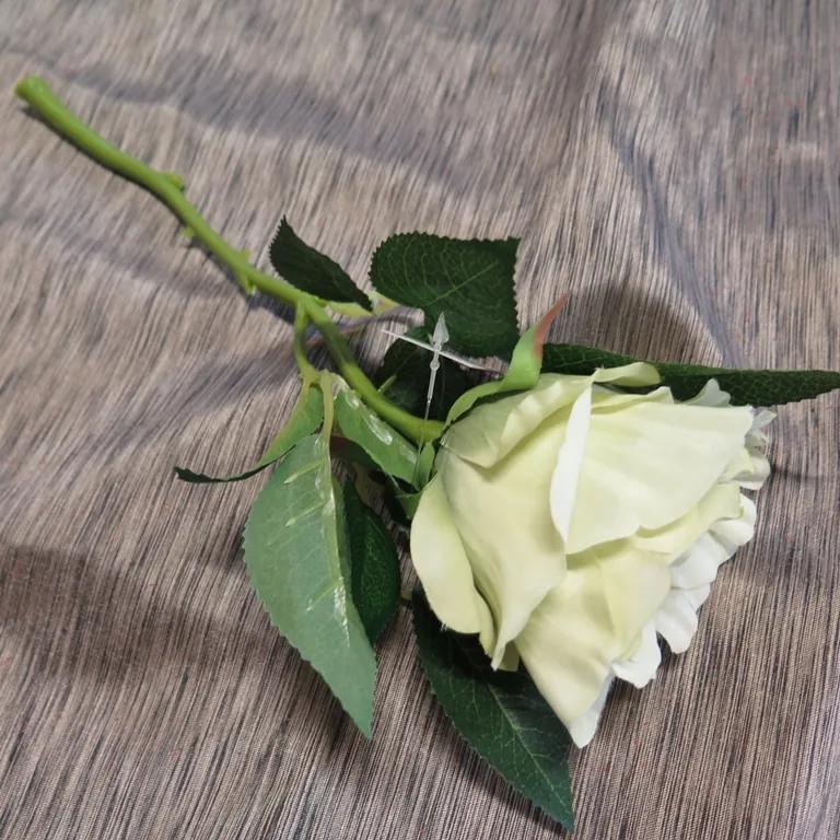 Růže sv. zelená 30cm 1květ