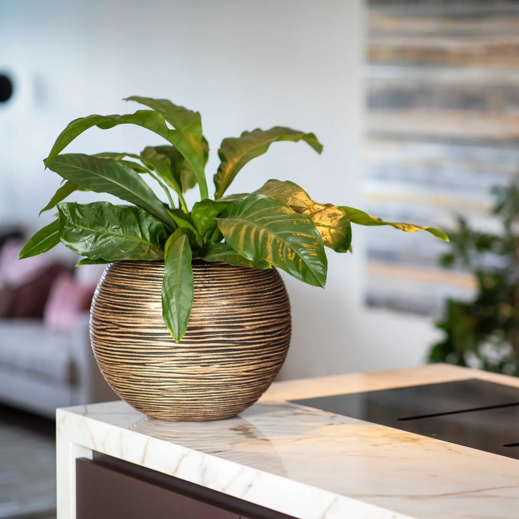 Capi Nature Rib NL Vase Ball Black Gold Ø 62 cm / V 48 cm