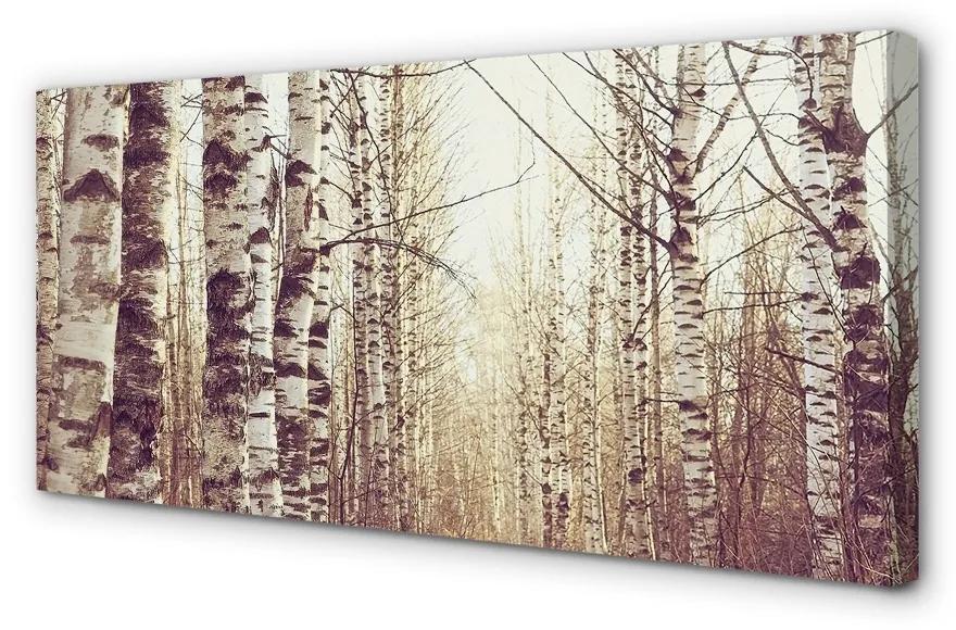 Obrazy na plátně stromy 100x50 cm