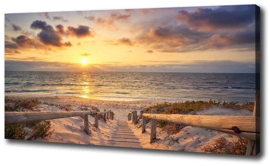 Wallmuralia Foto obraz na plátně Stezka na pláž 100x50