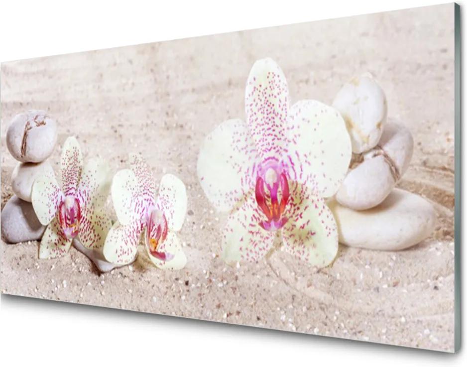 Skleněný obraz Orchidej Kameny Zen Písek