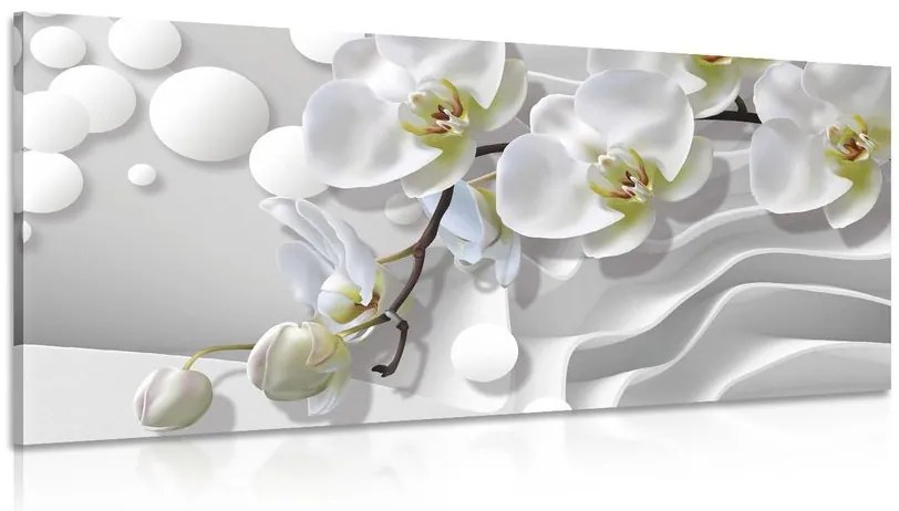 Obraz orchidej na abstraktním pozadí Varianta: 100x50