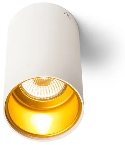 RENDL R12745 TUBA přisazené svítidlo, downlight matná bílá/zlatá