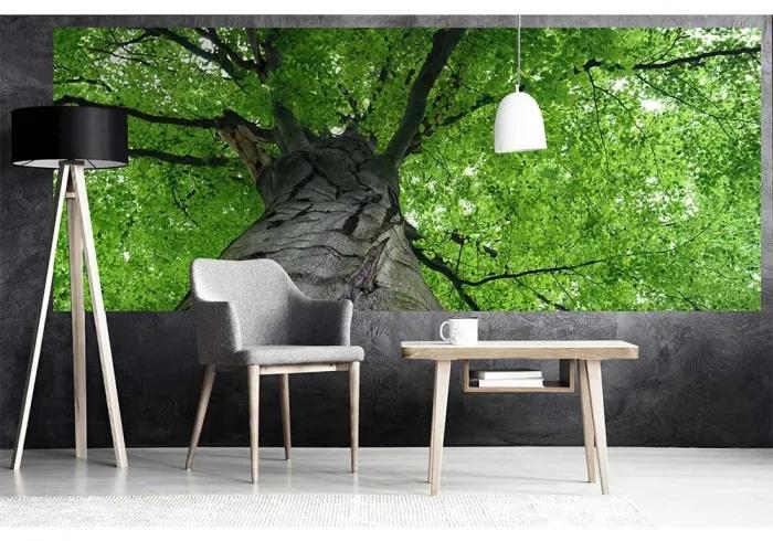DIMEX | Panoramatická vliesová fototapeta na zeď Koruna stromu MP-2-0101  | 375 x 150 cm | šedá, zelená