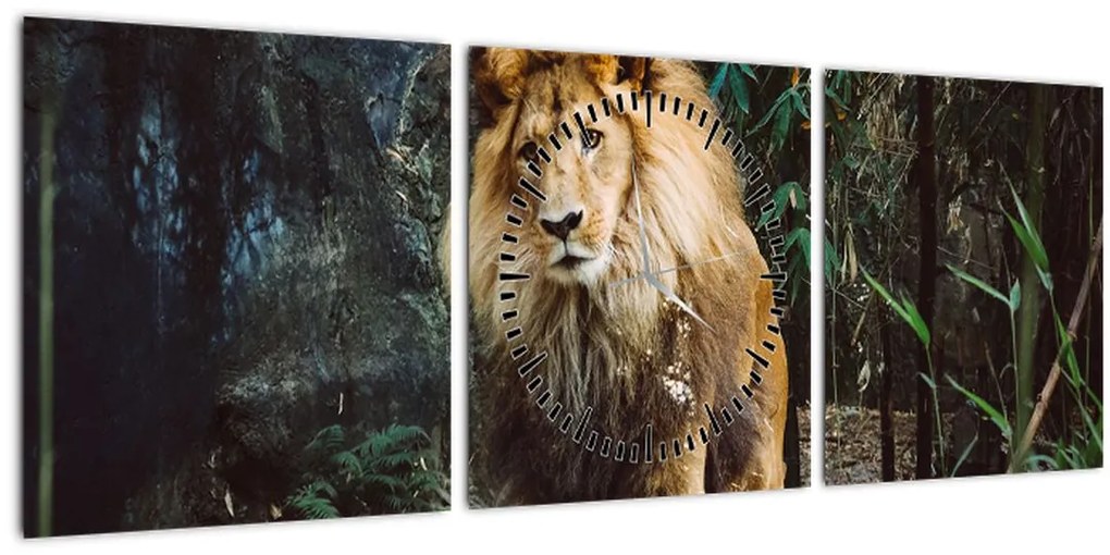 Obraz lva v přírodě (s hodinami) (90x30 cm)