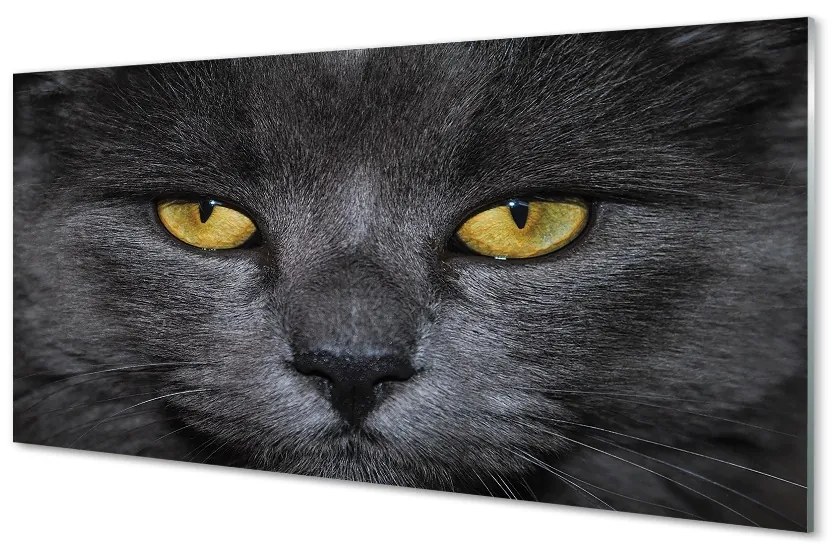 Obraz na skle Černá kočka 140x70 cm
