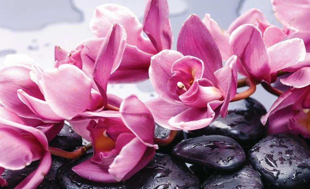 Postershop Fototapeta: Lázeňské kameny a růžové orchideje - 184x254 cm