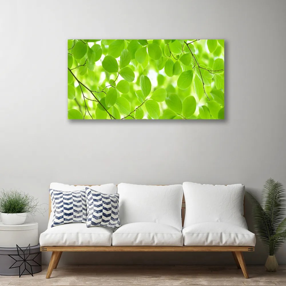 Obraz na plátně Listy Příroda 125x50 cm