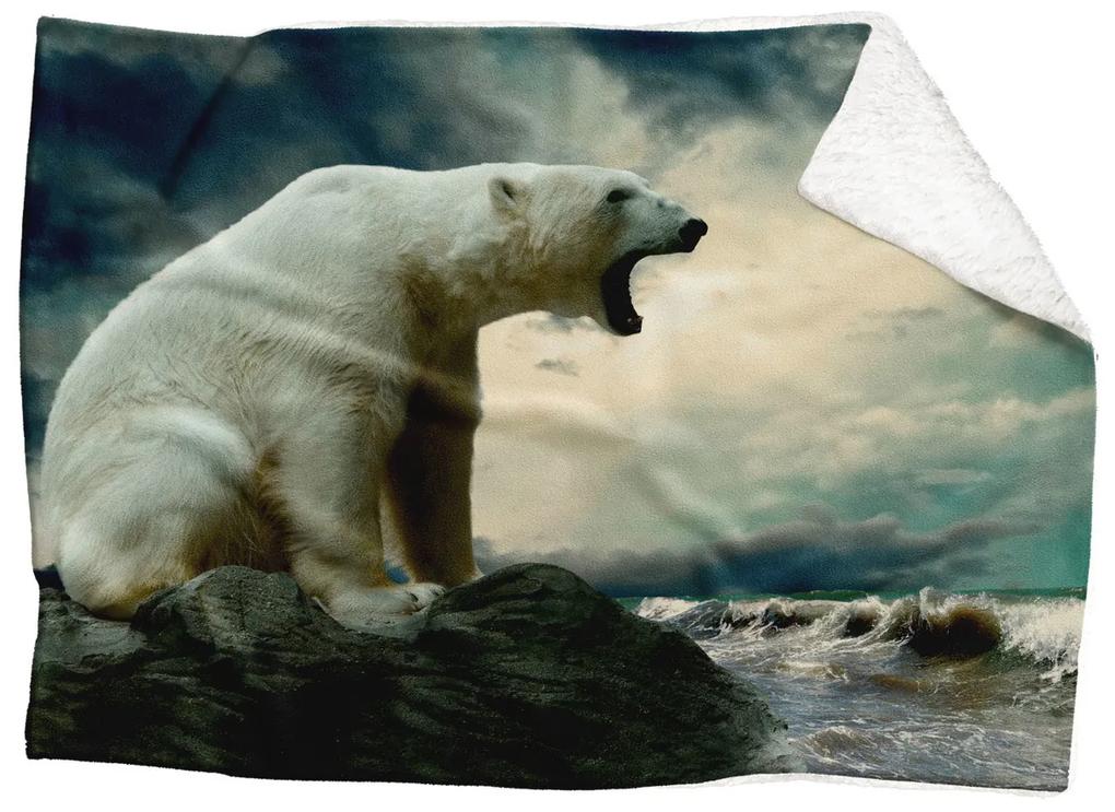 IMPAR Fleecová deka Lední medvěd 150x120 cm (Rozměr : 150 x 120 cm, Podšití beránkem: ANO)