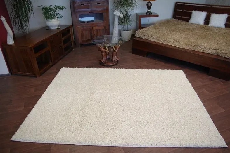 MONO Kusový koberec Efor Shaggy 2137 Cream BARVA: Krémová, ROZMĚR: 80x150 cm