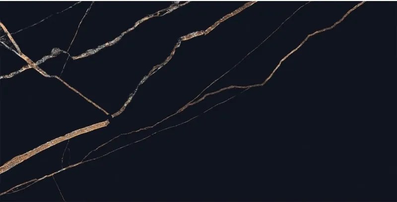 Mexen Fossil Černý leštěný rektifikovaný gres G1, dlaždice podlahově-stěnová 120 x 60 cm, vysoký lesk