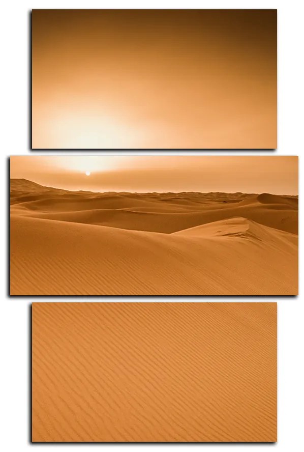 Obraz na plátně - Pouště Sahara  - obdélník 7131C (105x70 cm)