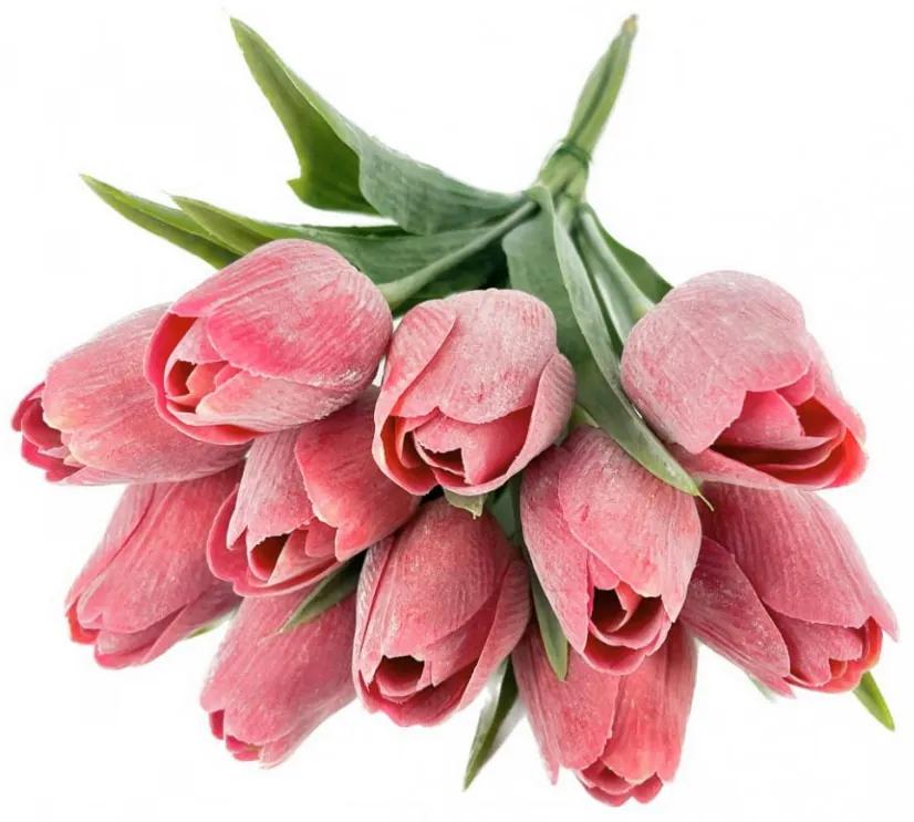 tulipán s listem (6 ks) - červená