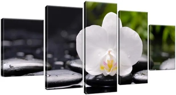Tištěný obraz Bílá orchidej a kameny 150x70cm 1707A_5B
