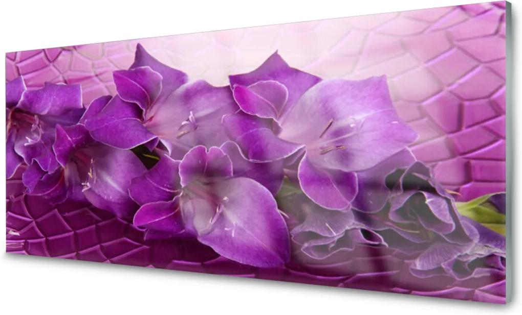 Plexisklo obraz Květiny Rostlina Příroda