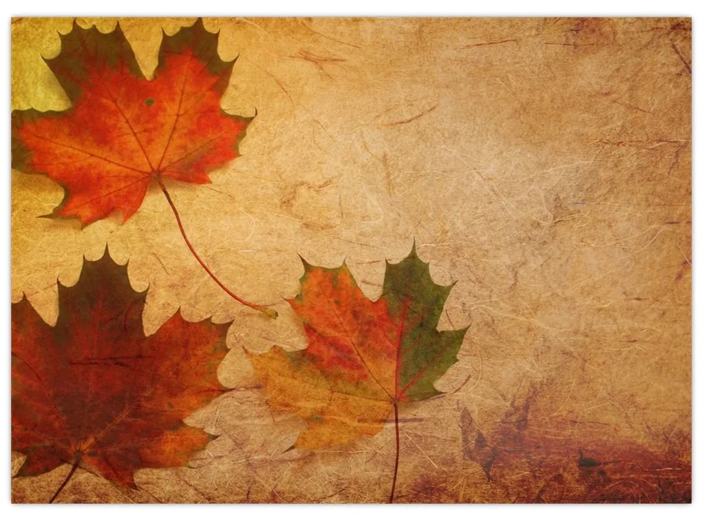Skleněný obraz s podzimním motivem (70x50 cm)