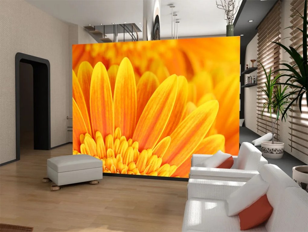 Fototapeta gerbera žlutá + lepidlo ZDARMA Velikost (šířka x výška): 150x116 cm