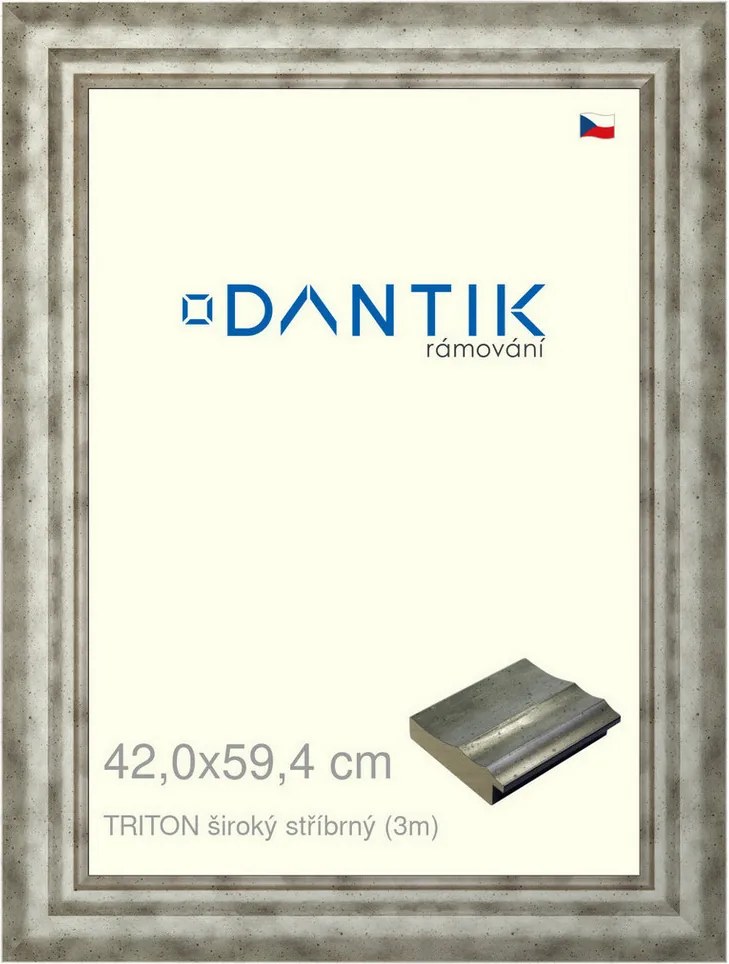 DANTIK rámeček 42x59,4 | TRITON široký stříbrný (Plexi Čiré)