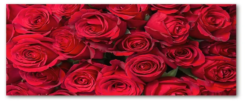 Wallmuralia Foto obraz akrylový Červené růže 125x50 cm