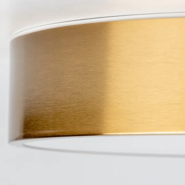 Brilagi - LED Koupelnové stropní svítidlo POOL LED/24W/230V pr. 30 cm IP54 bronz