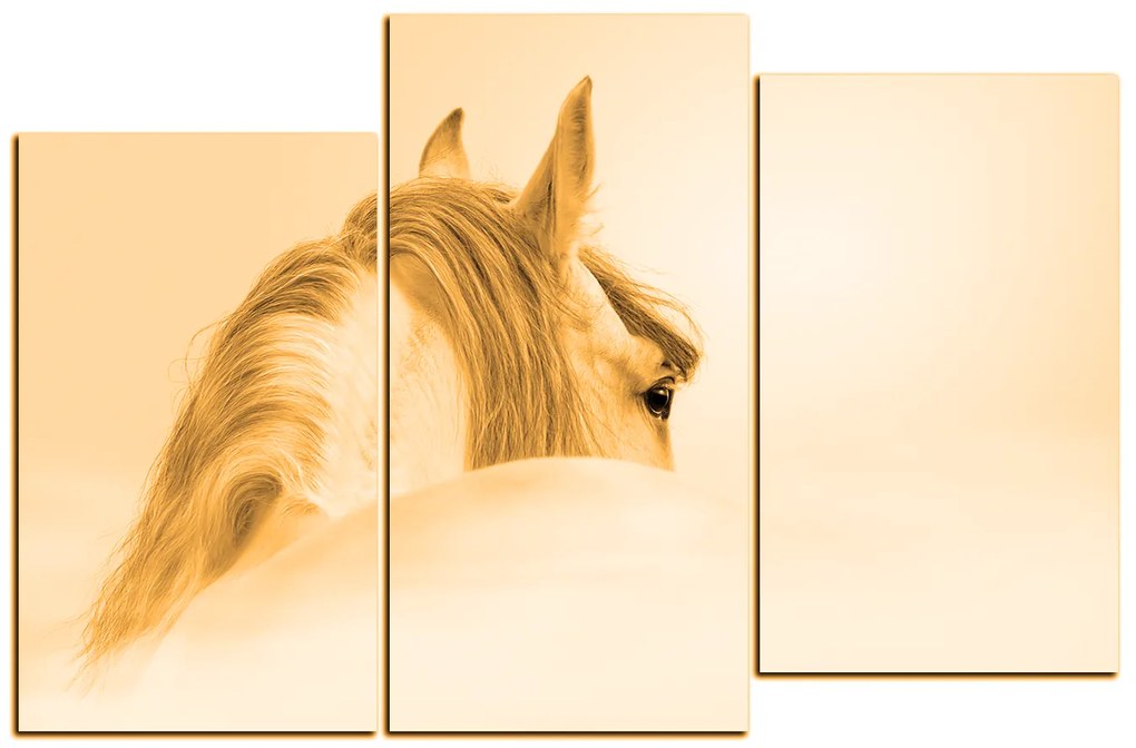 Obraz na plátně - Andaluský kůň v mlze 1219FC (120x80 cm)