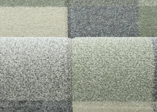 Koberce Breno Kusový koberec PORTLAND 1923/RT46, Zelená, Vícebarevné, 200 x 285 cm