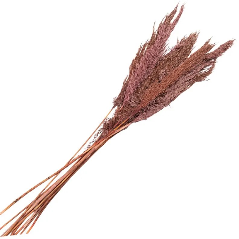 Růžová kytice sušené květy bambusu Bamboo – 100 cm